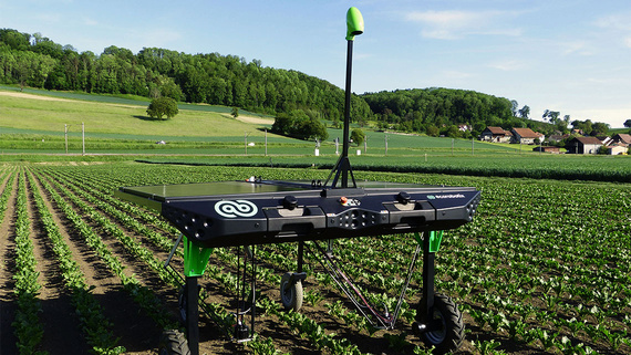 Robots for weed control